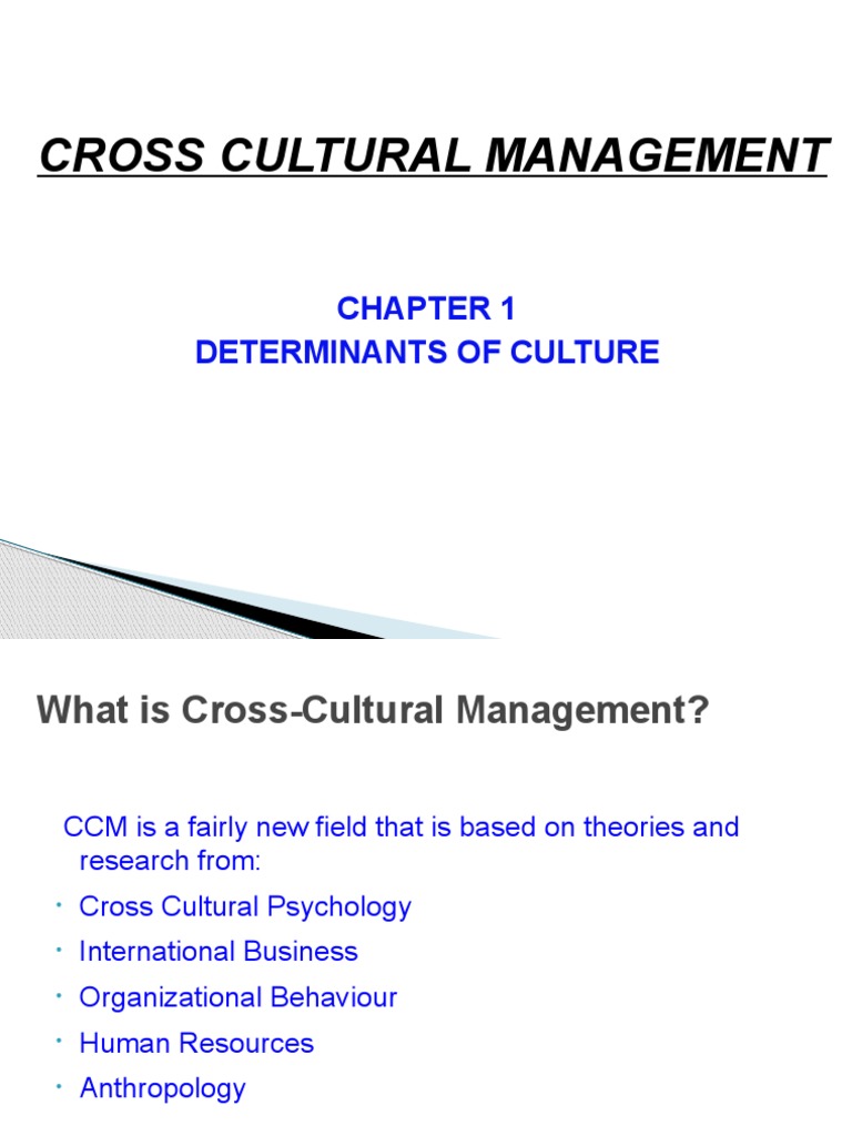 Cross-Cultural Management Guide | PDF | Organizational Culture | Value ...