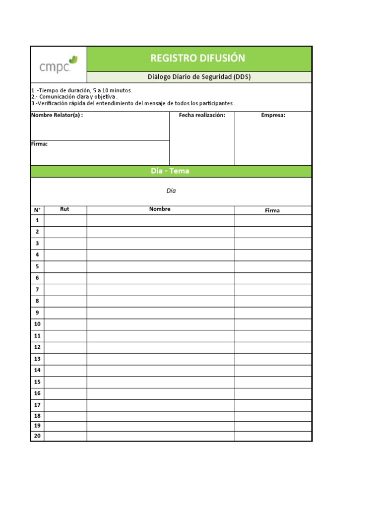 Formato Registro DDS | PDF