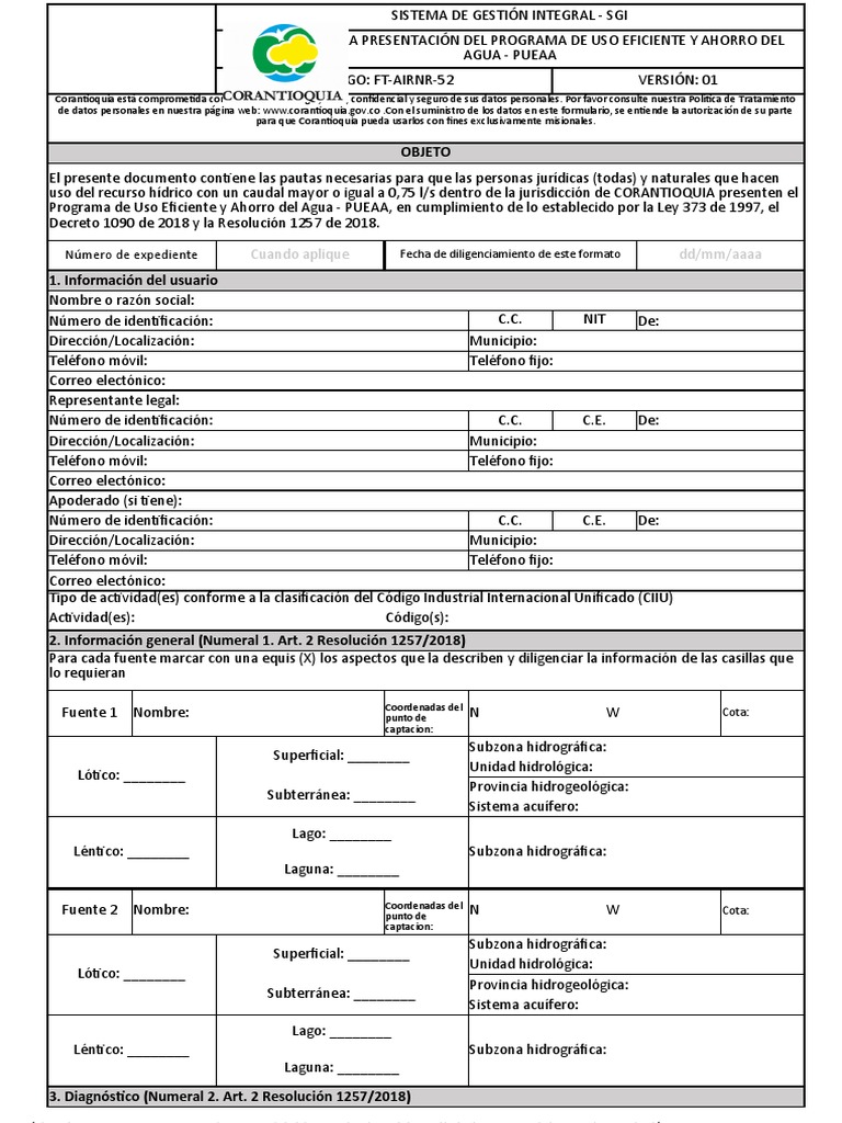 Copia de FT-AIRNR-52-Formato PUEAA Completo | PDF