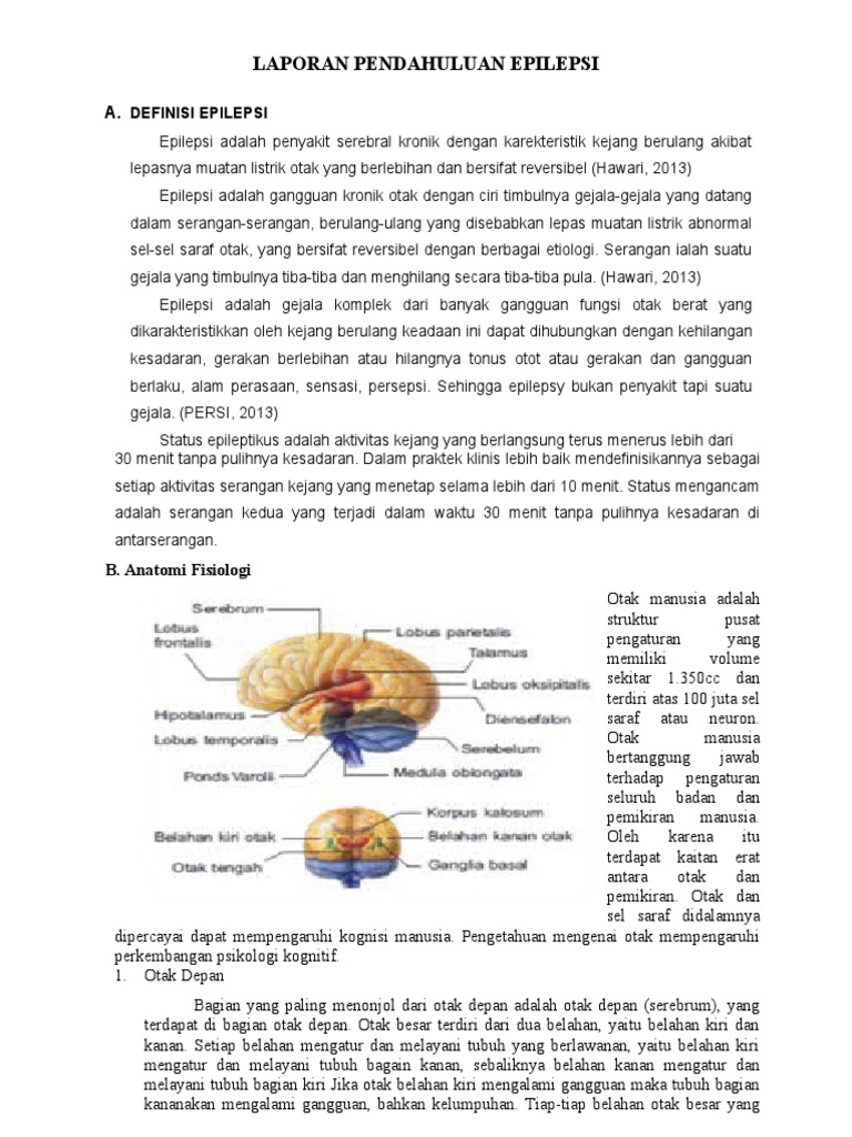 LP Epilepsi 17 PDF Free | PDF
