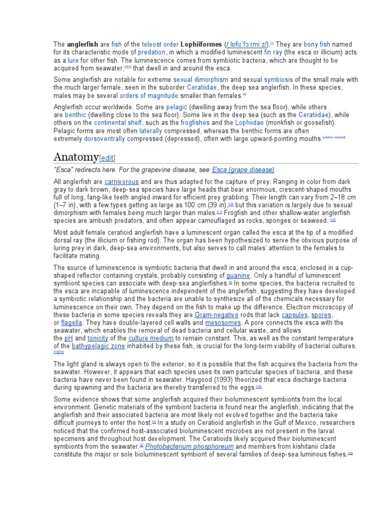 Anglerfish | PDF | Organisms | Biology