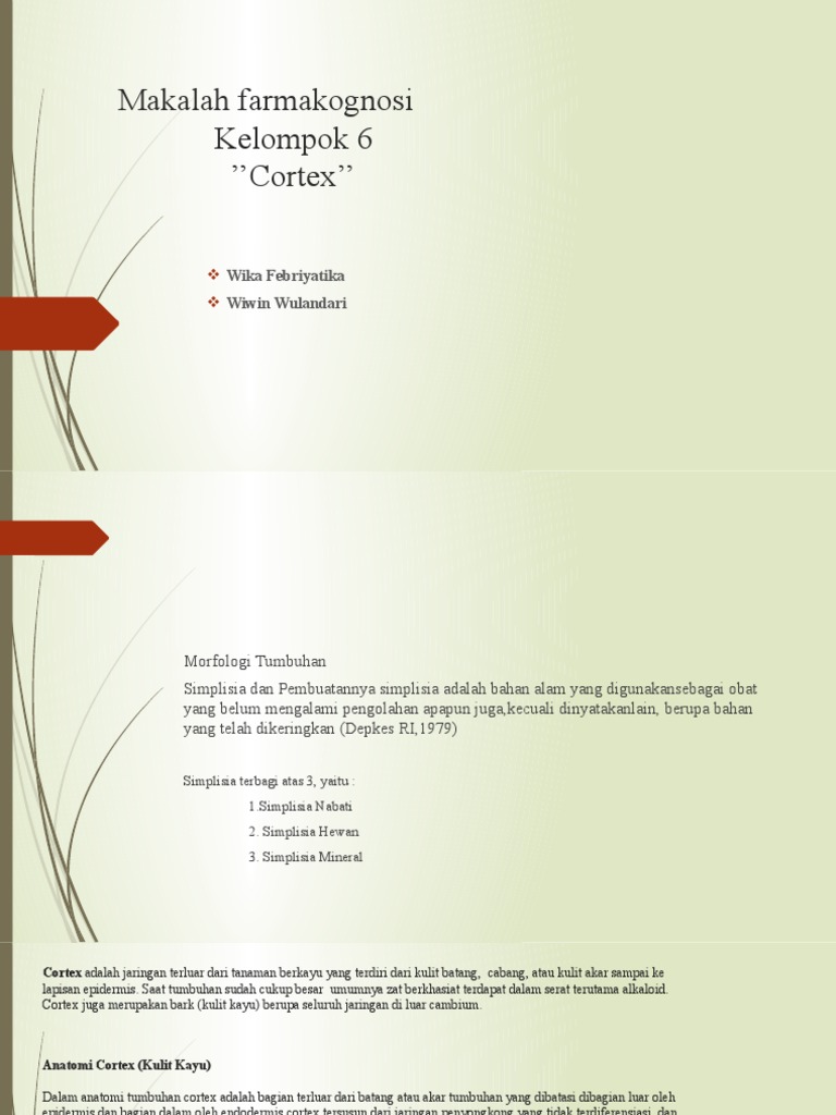 Makalah Farmakognosi PPT Cortex Wiwin 1 | PDF