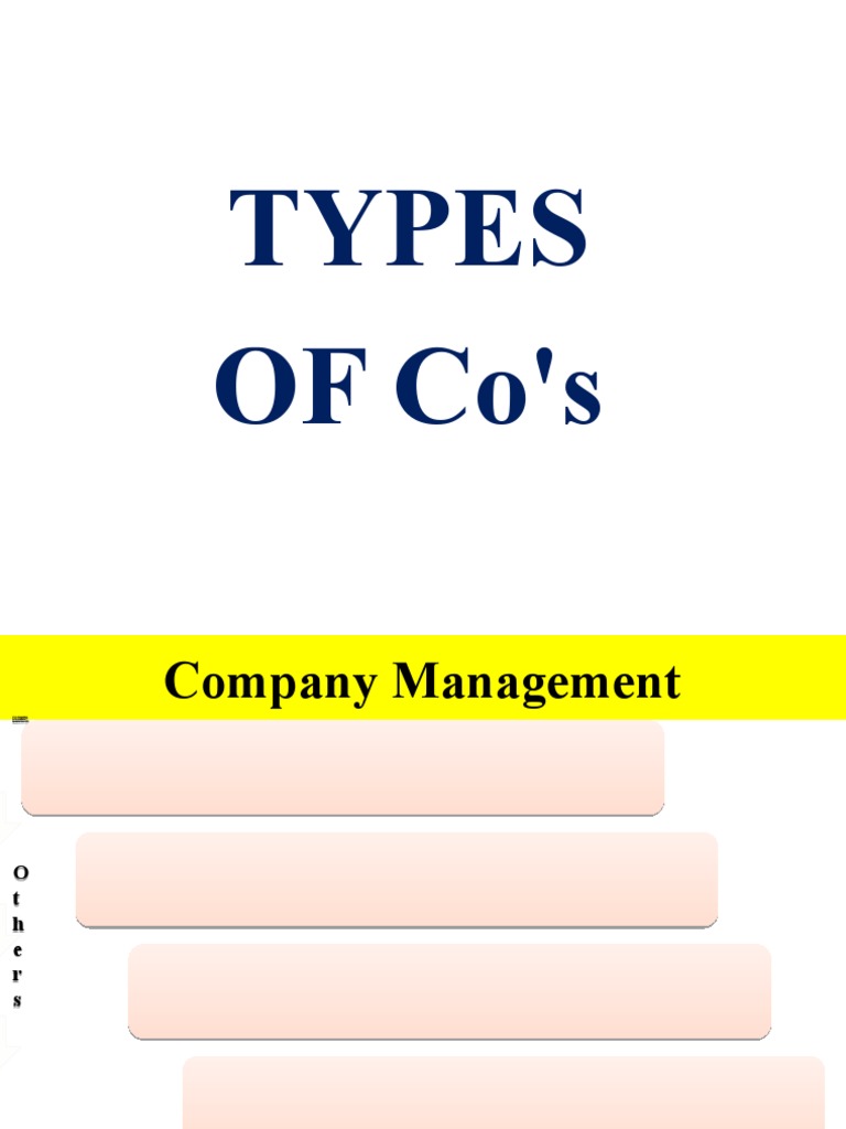 Types of Companies in India Overview | PDF | Corporations | Economies