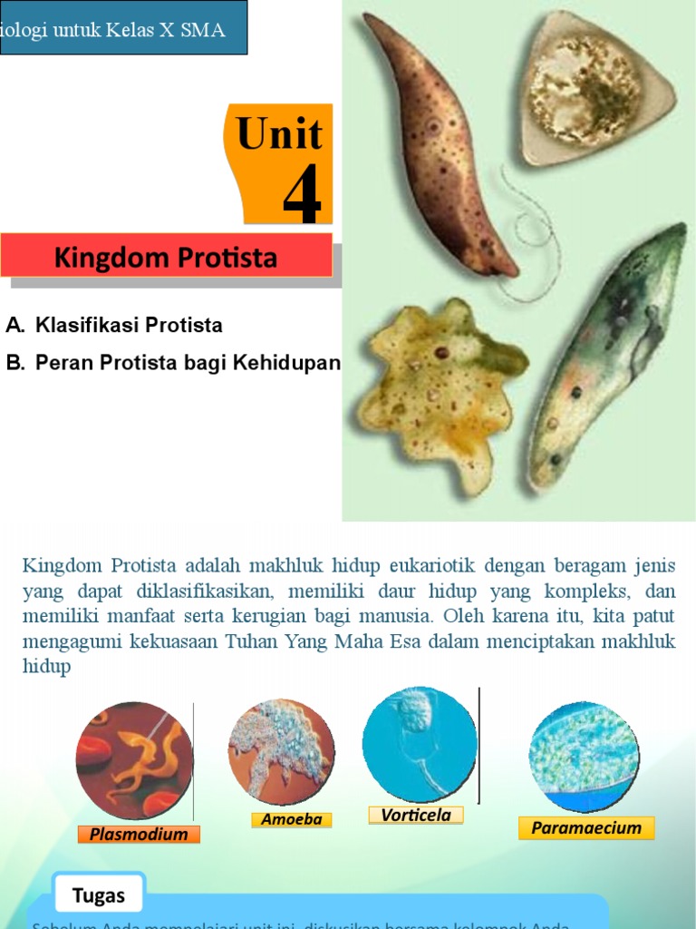 Unit 4 PROTISTA Biologi X | PDF