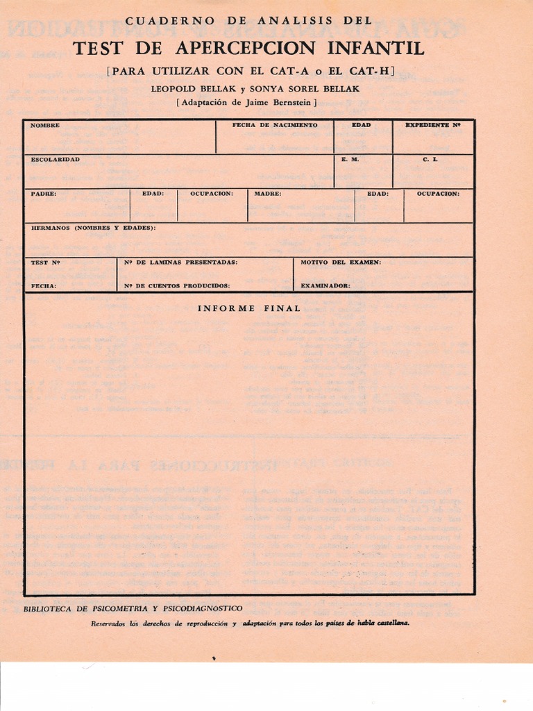 Protocolo 1 Completo Test Cat A | PDF