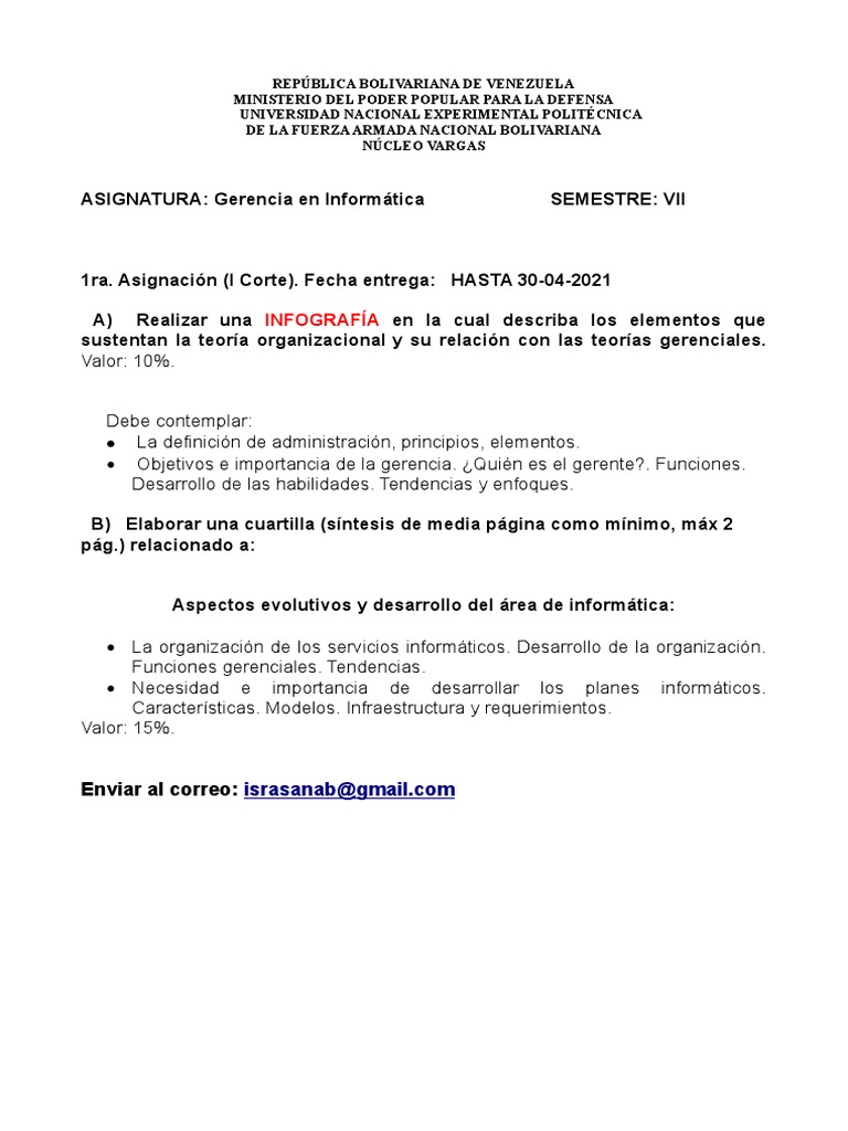 Infografía y Síntesis sobre Gerencia Informática | PDF