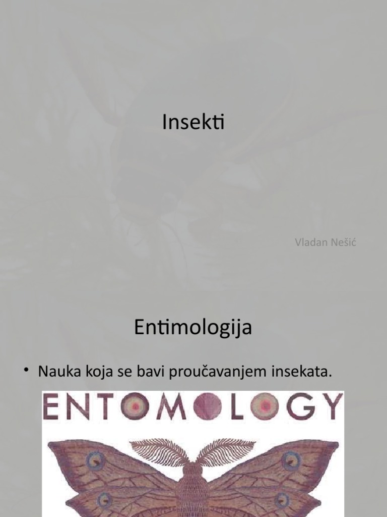 Insekti 170120181023 | PDF