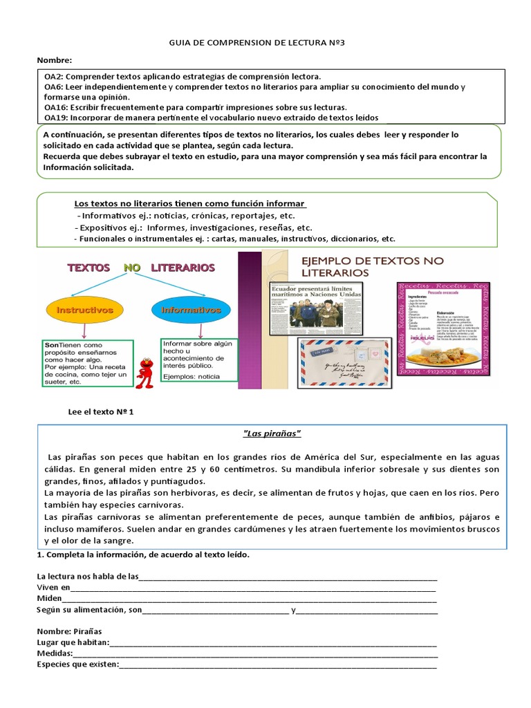Guia de Comprension Lectora Texto No Literario | PDF | Tortita ...