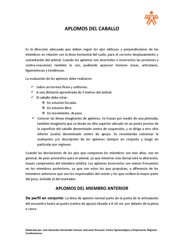 Aplomos Del Caballo | PDF | Rodilla | Caballos