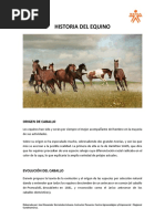 Unidad 8 Equidos PDF | PDF | Entrenamiento de caballos | Caballos