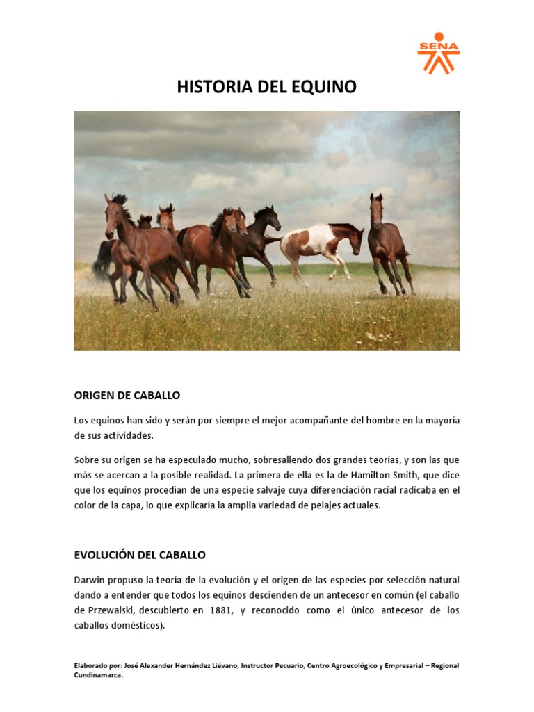 Historia y evolución del caballo | PDF | Caballos | Domesticación