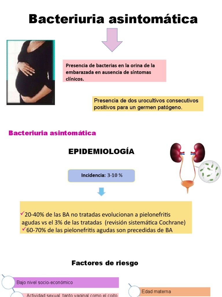 Bacteriuria Asintomática | PDF
