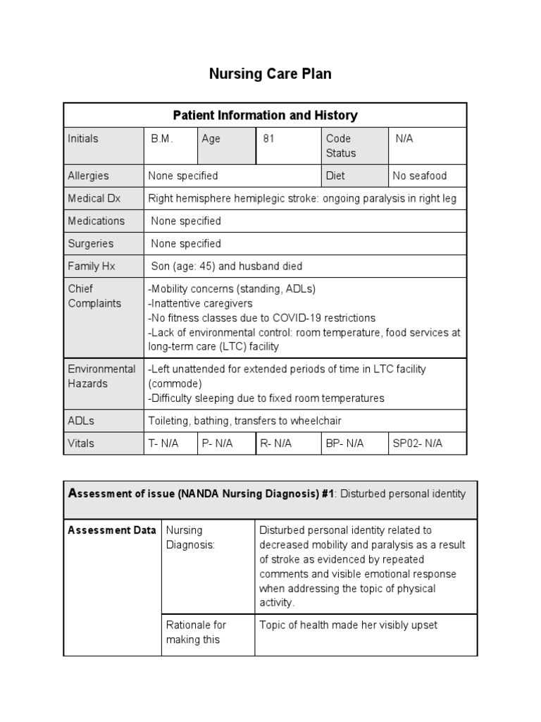 Nursing Care Plan: Patient Information and History | PDF | Patient ...