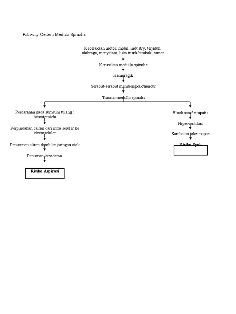 Pathway Cedera Medulla Spinalis | PDF