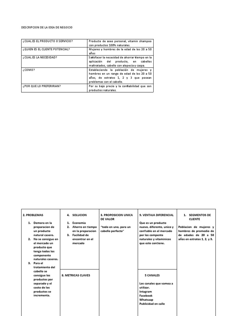 Lean Canvas | PDF | Economias | Business