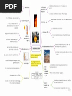 Mapa Mental Motor Wankel - Granda David | PDF