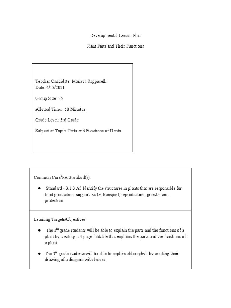 Lesson Plan 2 - Plant Parts and Functions | PDF | Photosynthesis | Plants