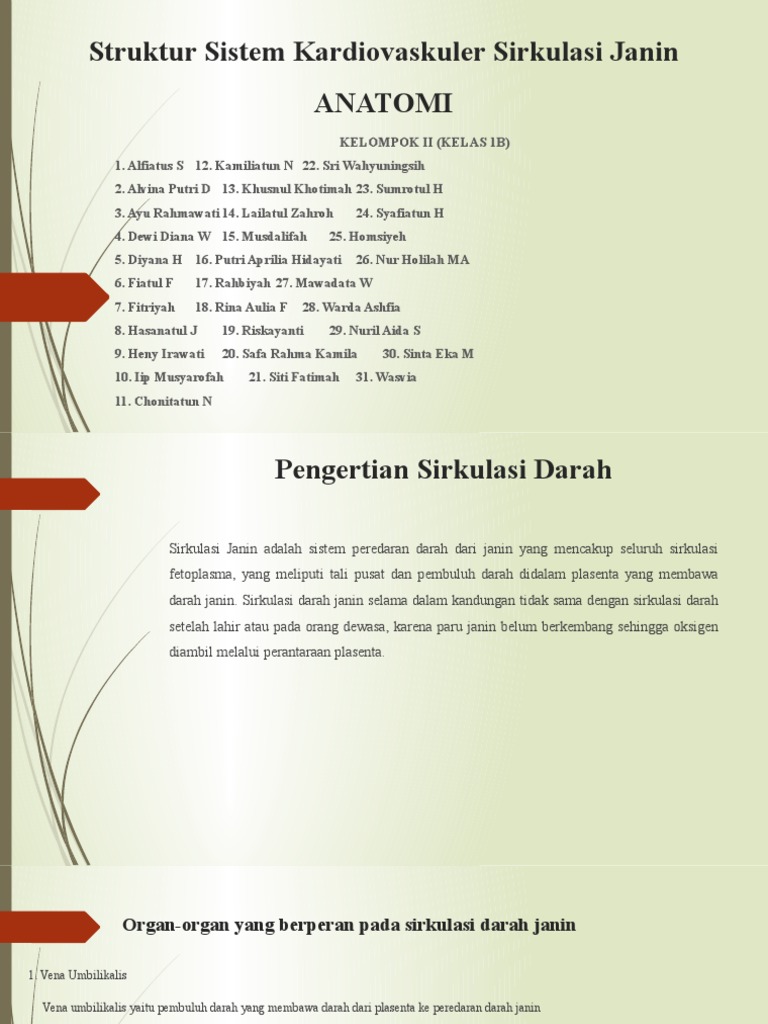 Anatomi Sirkulasi Janin | PDF