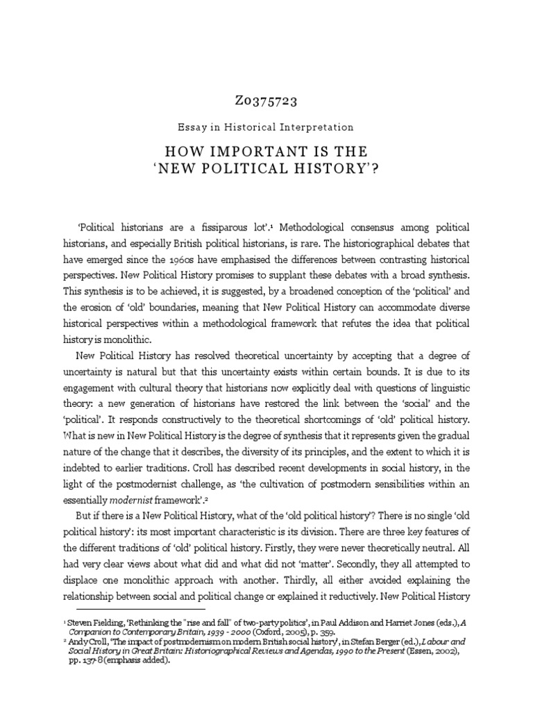 How Important Is The 'New Political History'? | PDF | Social History ...
