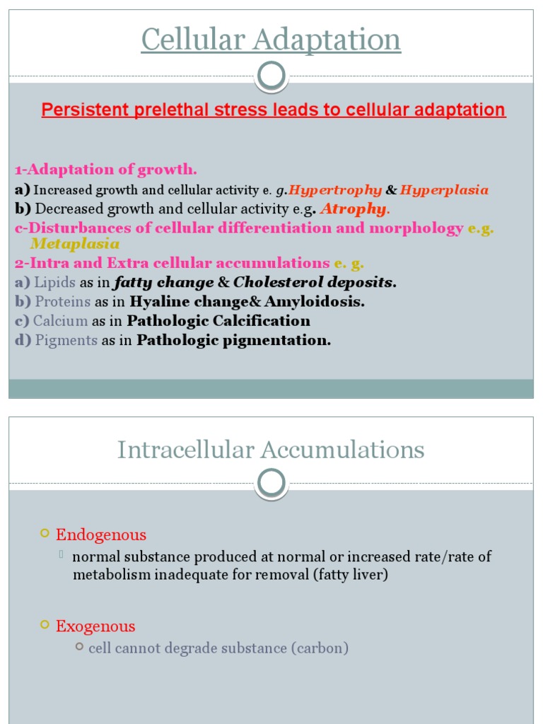 Cellular Adaptation-I | PDF | Medical Specialties | Anatomy
