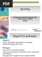 Examen de coproculture des selles | PDF | Salmonelle | Bactérie