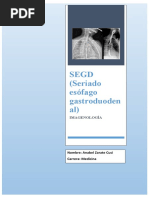 Protocolo de Estudio de Tránsito Intestinal | PDF | Intestino delgado ...