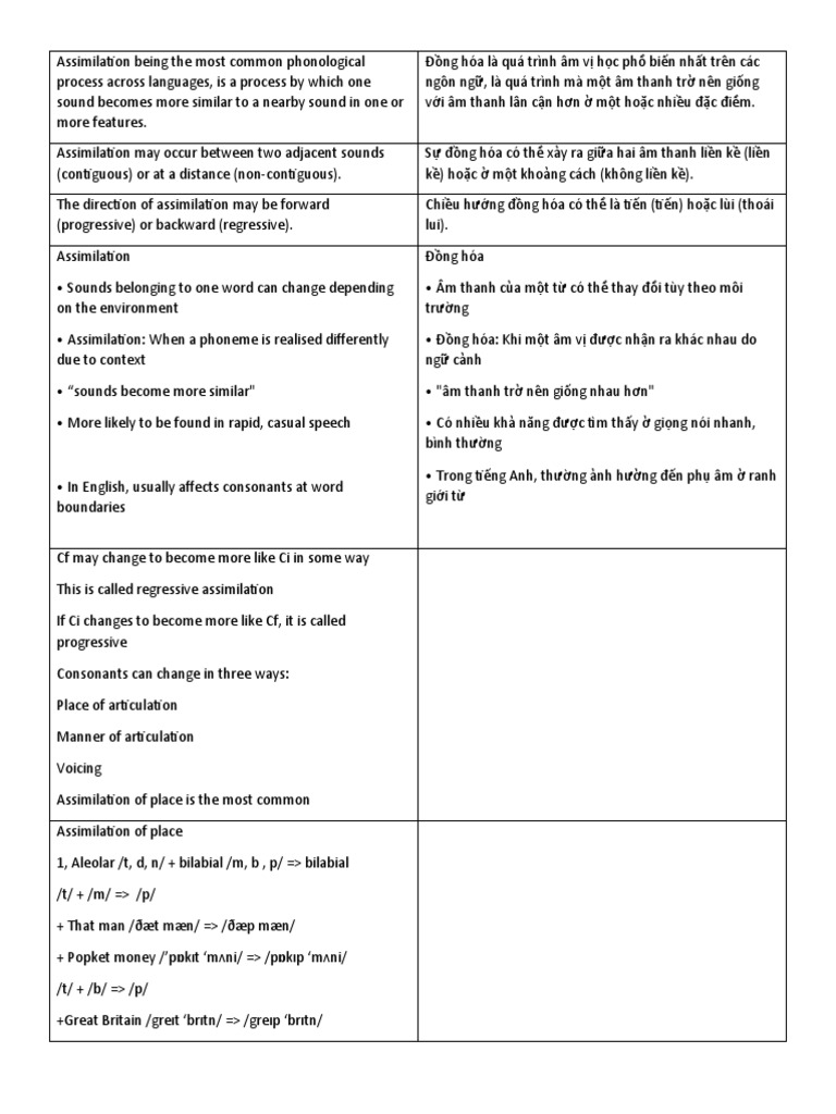 Assimilation | PDF
