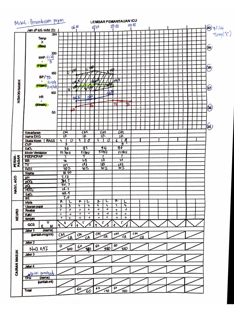 Contoh Pembuatan Flowchart Pemantauan Pasien Icu | PDF