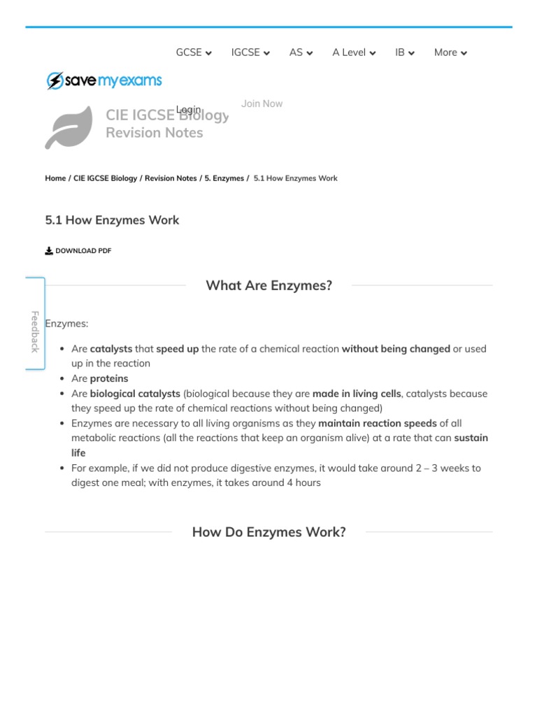 How Enzymes Work - CIE IGCSE Biology Revision Notes | PDF