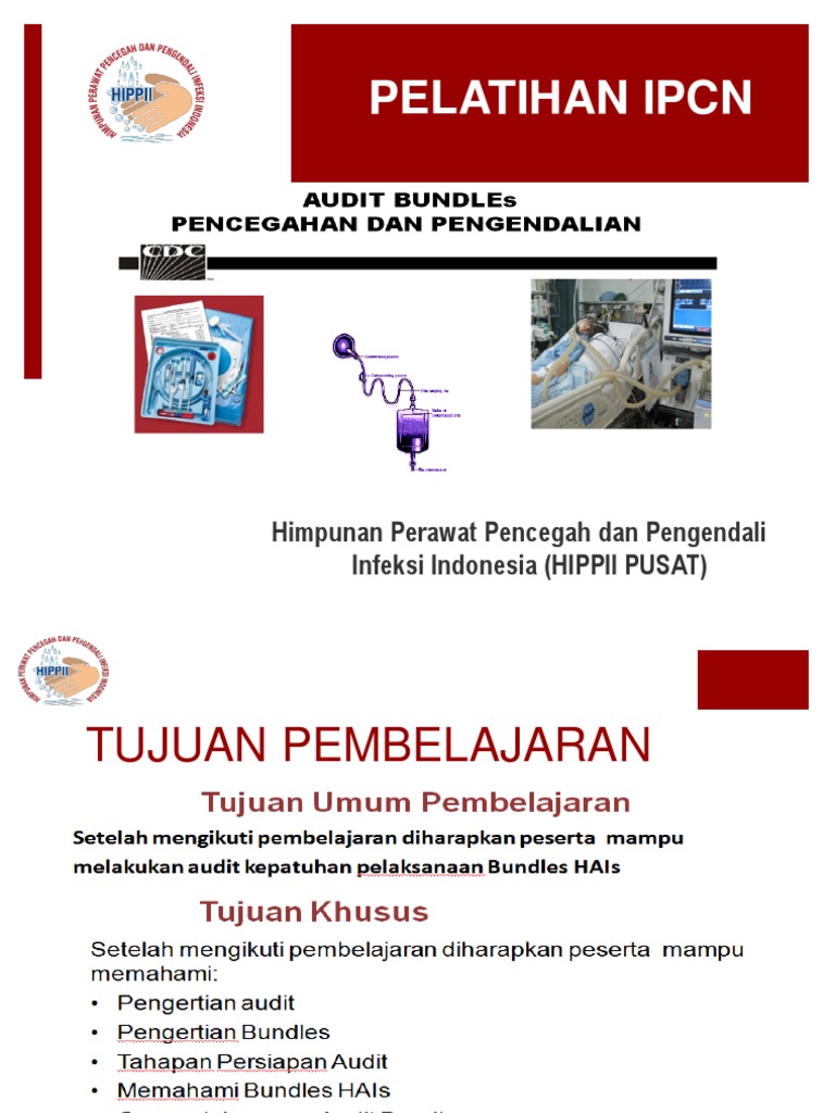 Audit Bundles Hais | PDF