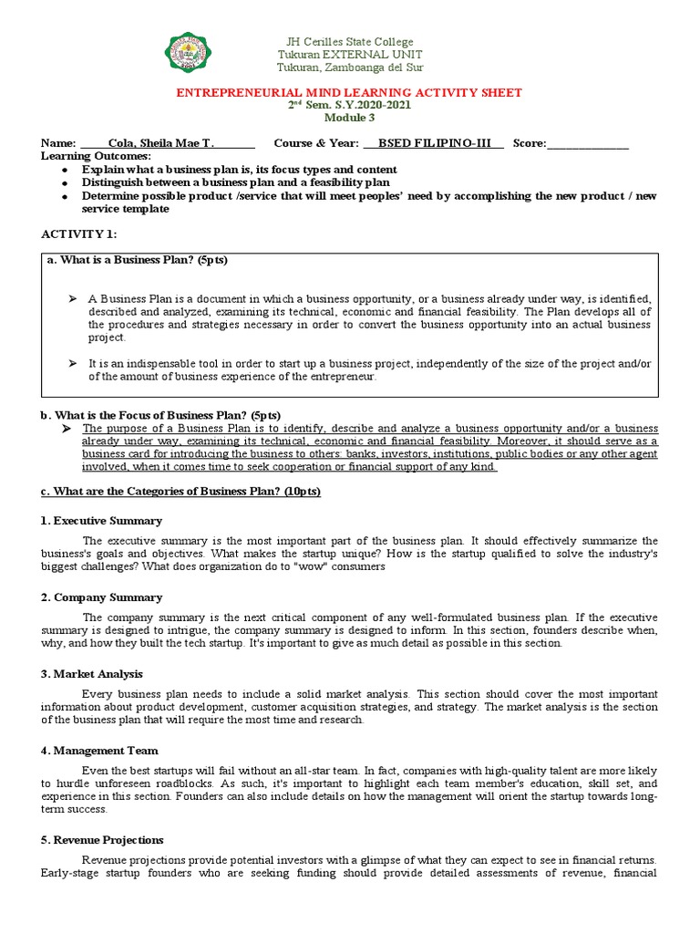 Business Plan Essentials for Entrepreneurs | PDF | Feasibility Study ...