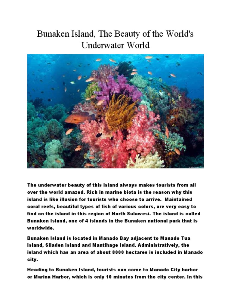 Descriptive Text Bunaken Island | PDF | Coastal And Oceanic Landforms ...