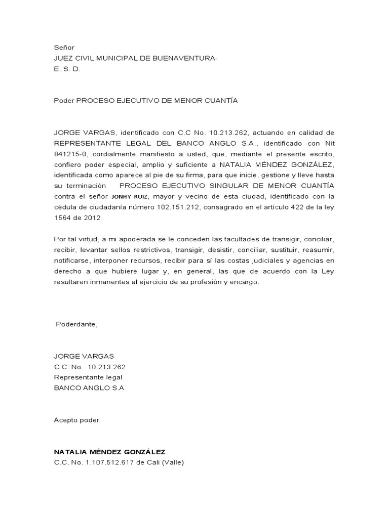 Poder Proceso Ejecutivo | PDF