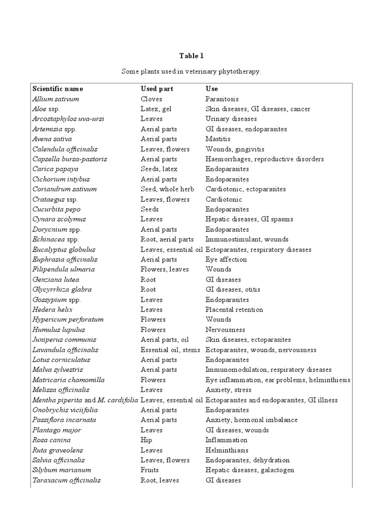 Plants in Veterinary Phytotherapy | PDF | Botany | Edible Plants