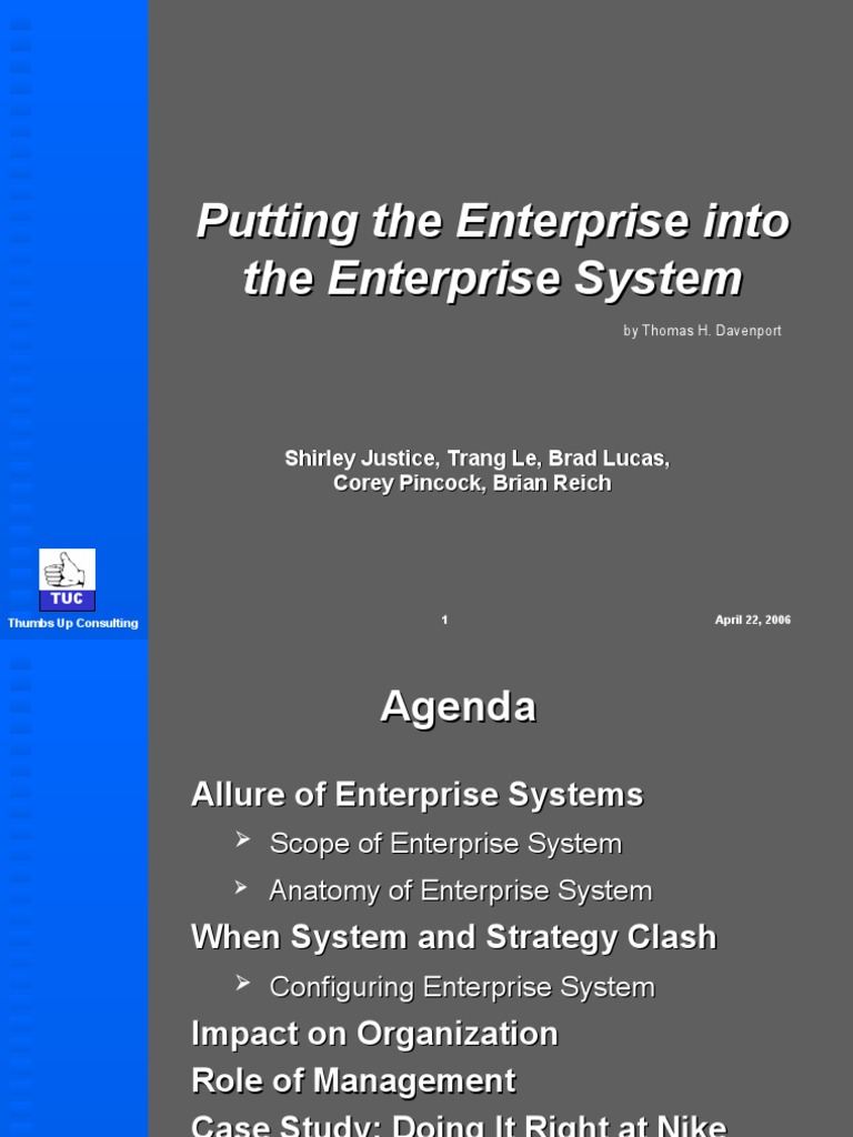Enterprise Systems Overview and Insights | PDF | Inventory | Sales