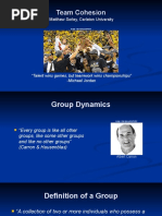 Sports Psych - Carron's Model | PDF | Leadership | Group Cohesiveness