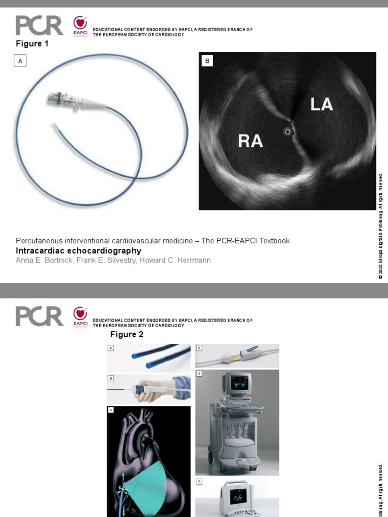Percutaneous Interventional Cardiovascular Medicine - The PCR-EAPCI ...