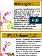 Anger Map | PDF