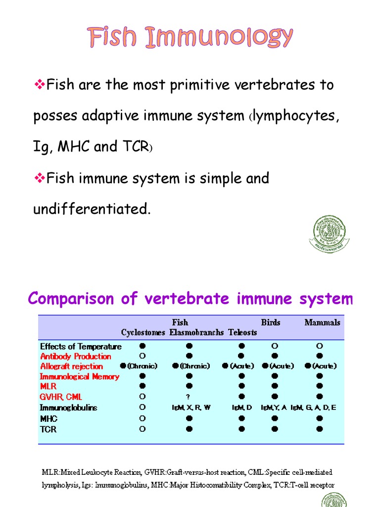 Fish Immunology | Adaptive Immune System | Medical