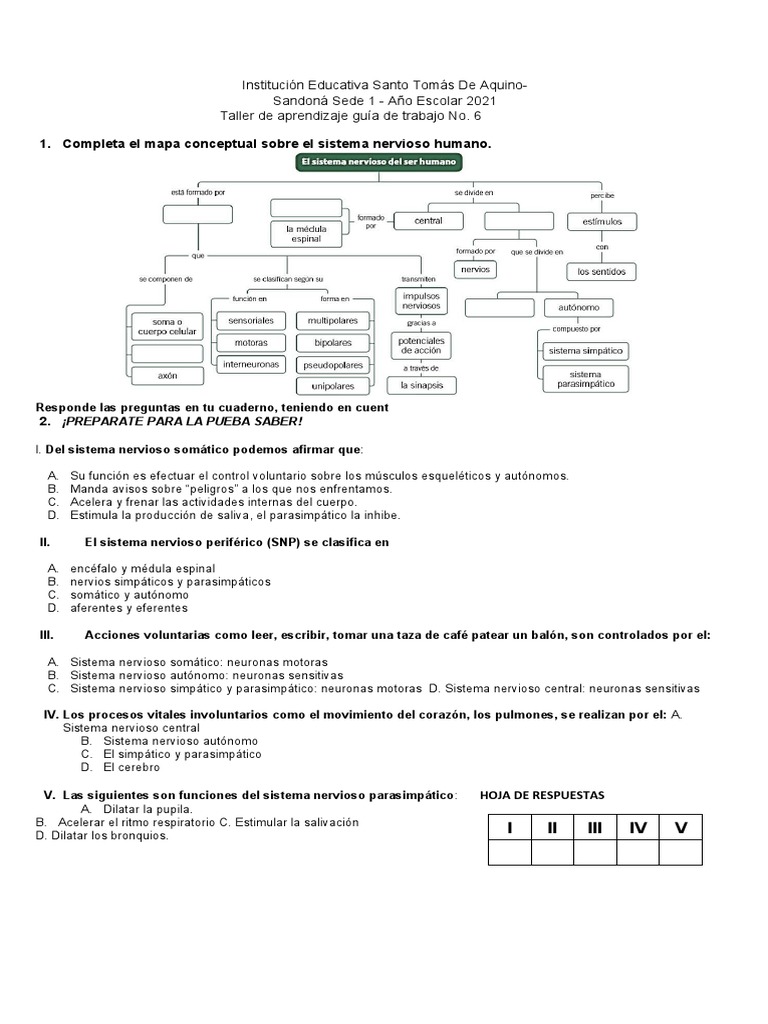 Taller Sist Nerv. Periféricorealizado | PDF