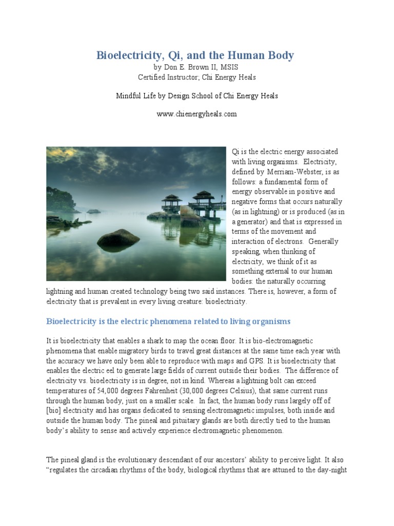 Bioelectricity Energy in Humans | PDF | Light | Electricity