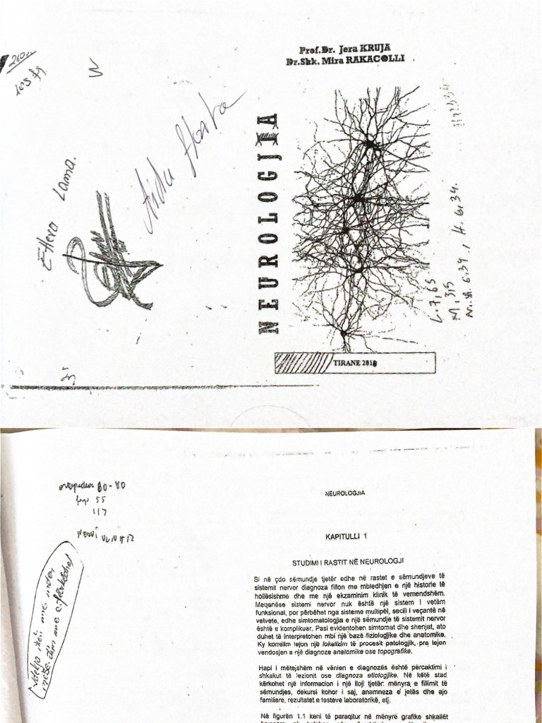 Neurologji | PDF