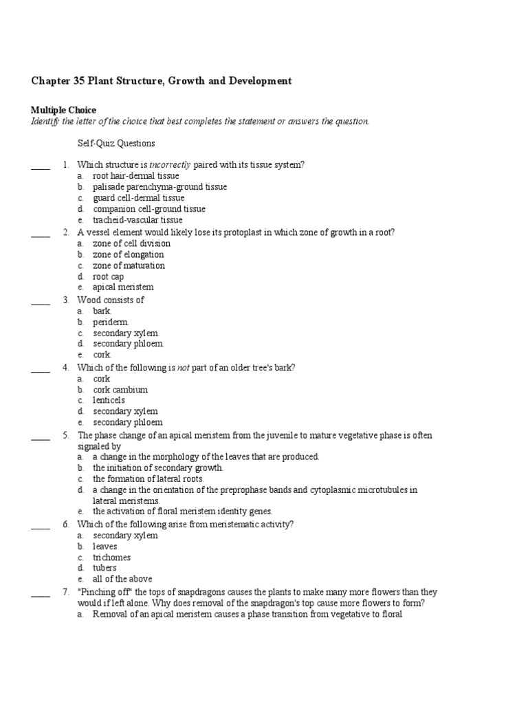 Chapter 35 Plant Structure Growth and Development | PDF | Root | Tissue ...