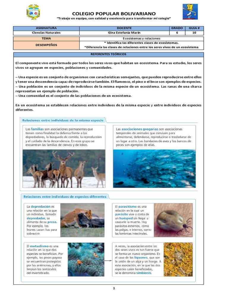 Ecosistemas y Relaciones Tróficas | PDF | Ecosistema | Biodiversidad