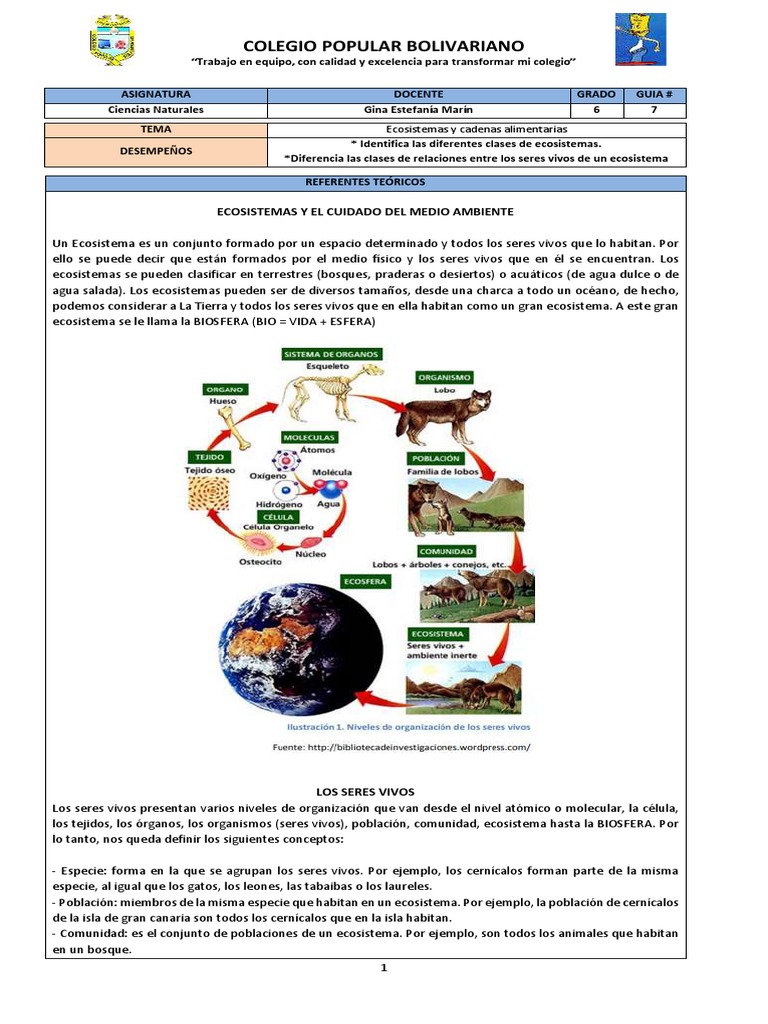 Guia Semana 15 A 19 de Marzo GRADO 6 Ecosistemas | Descargar gratis PDF | Ecosistema | Red ...