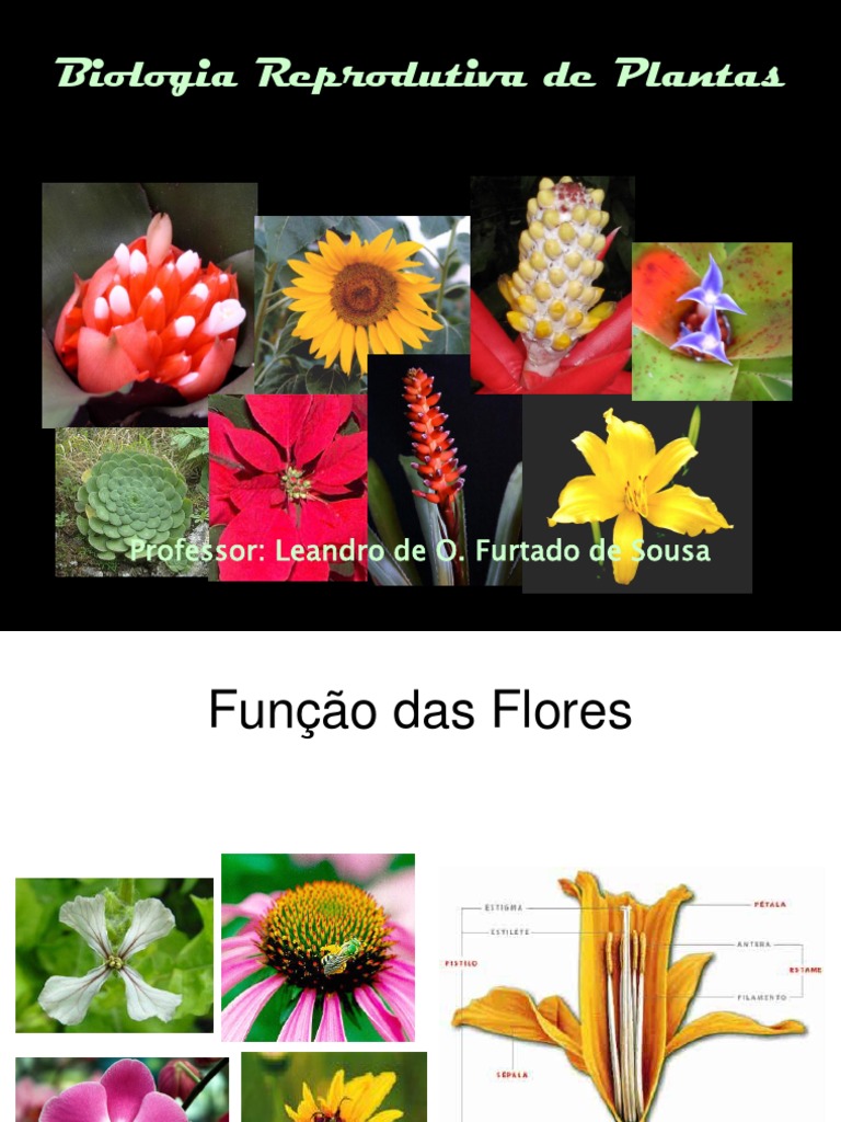 Biologia Reprodutiva Das Plantas | PDF | Polinizadores | Flores