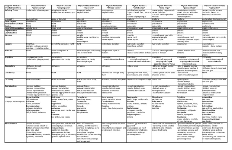 Invertebrate Phylum Chart | PDF | Invertebrate | Anatomy