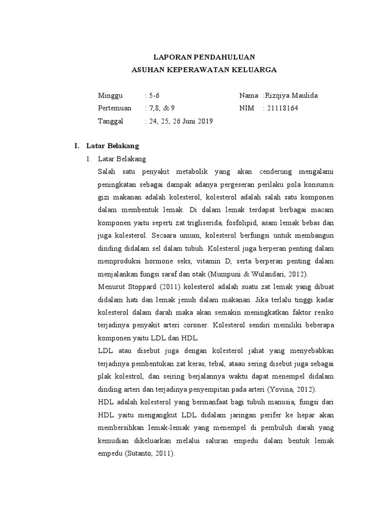 Contoh LP Keluarga | PDF