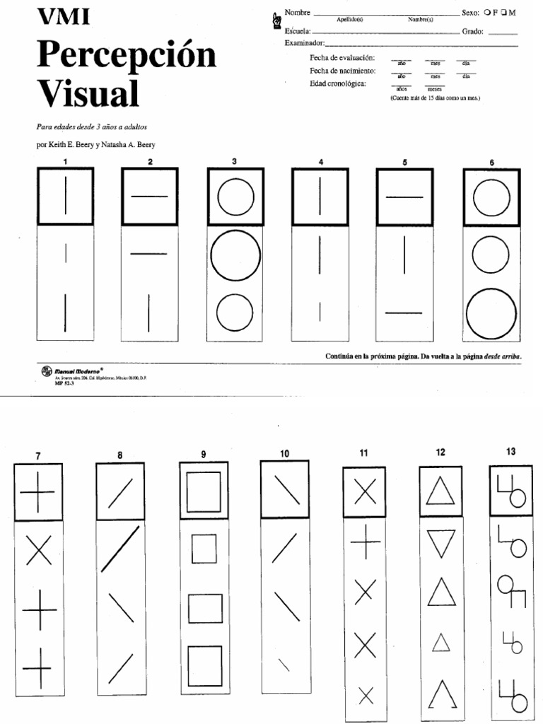 VMI. Percepción Visual | PDF