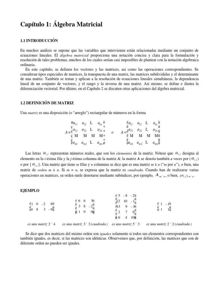 Álgebra Matricial (Parte I) | PDF | Matriz (Matemáticas) | Vector ...